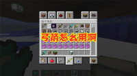 我的世界:我找到了弓和箭这两个怎么用啊有说明书吗