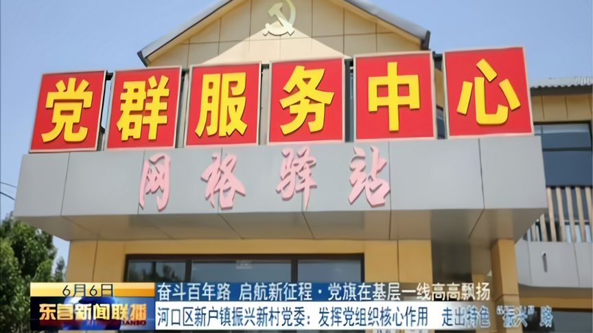 河口区新户镇振兴新村党委:发挥党组织核心作用