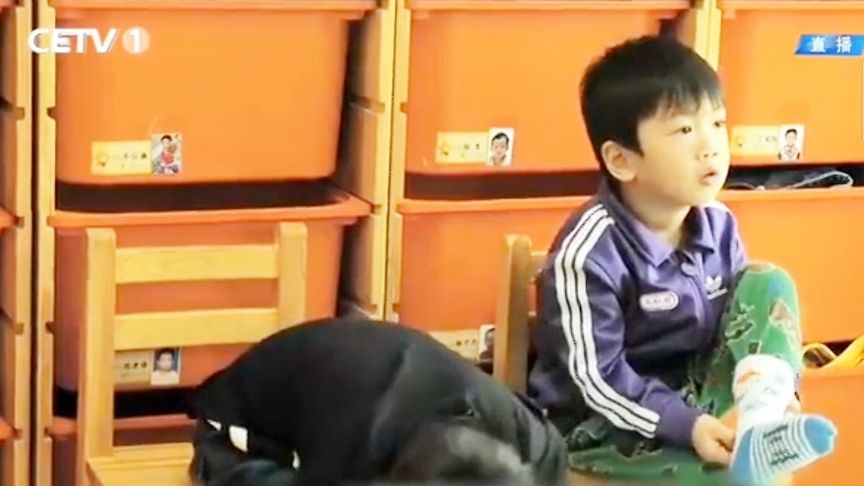 学前教育宣传月主题,为何是科学做好入学准备,家长感到焦虑?