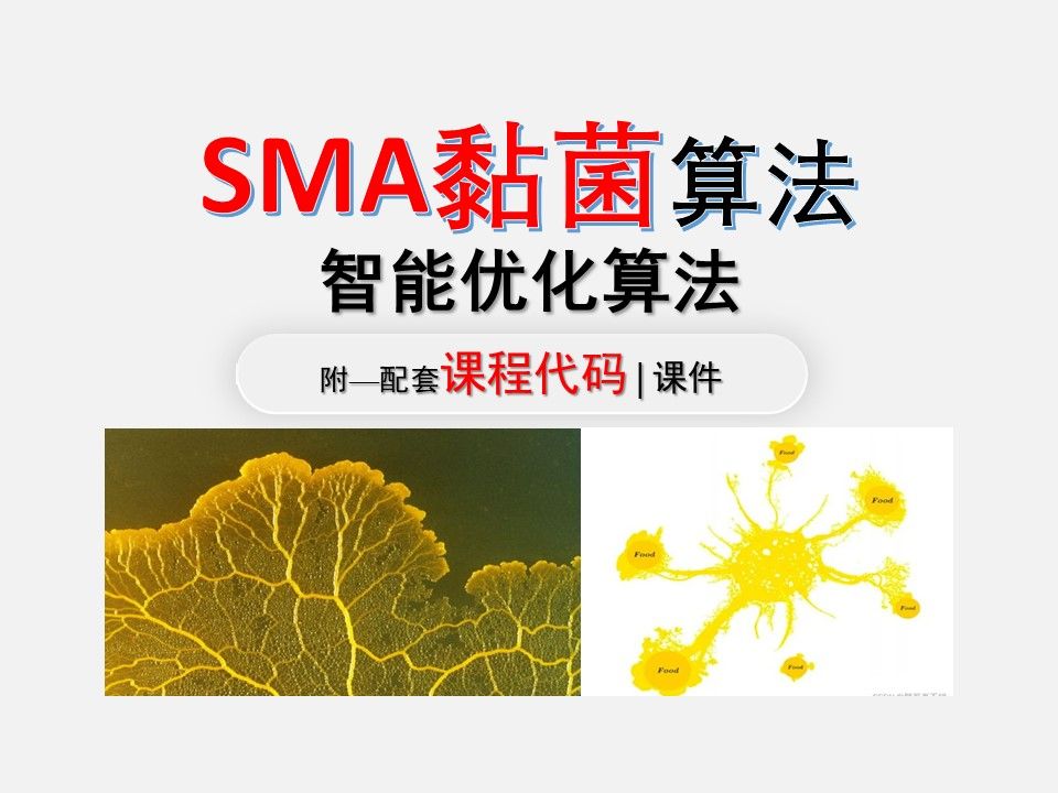 【元启发式算法 包含代码】一个视频让你学会SMA黏菌优化算法(附:...