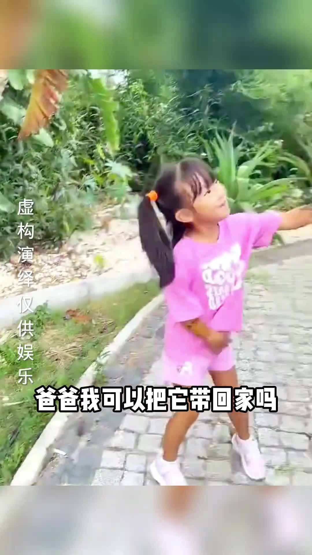 爸爸为了女儿把流浪猫带回家