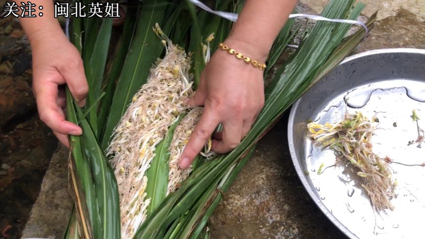 用古老的方法一小把绿豆居然发这么多的豆芽,全程记录生长变化…