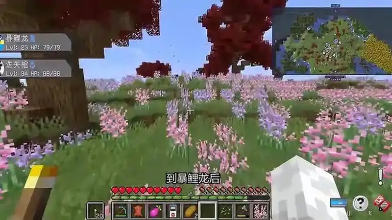 我的世界神奇宝贝随机生存挑战!