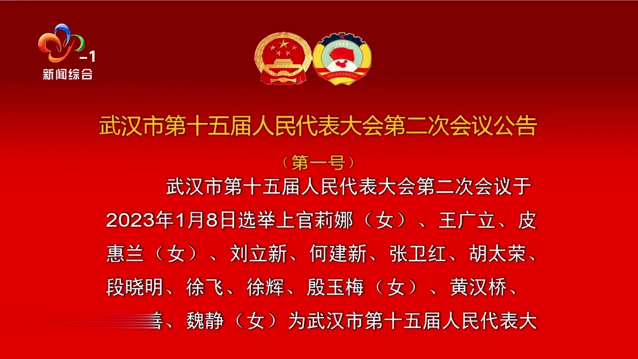 武汉市第十五届人民代表大会第二次会议公告(第一号)