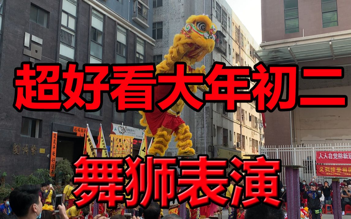 舞狮子全过程,在这里给大家拜年了