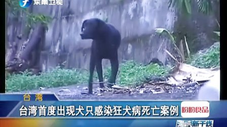 台湾:台湾首度出现犬只感染狂犬病死亡案例[海峡新干线]