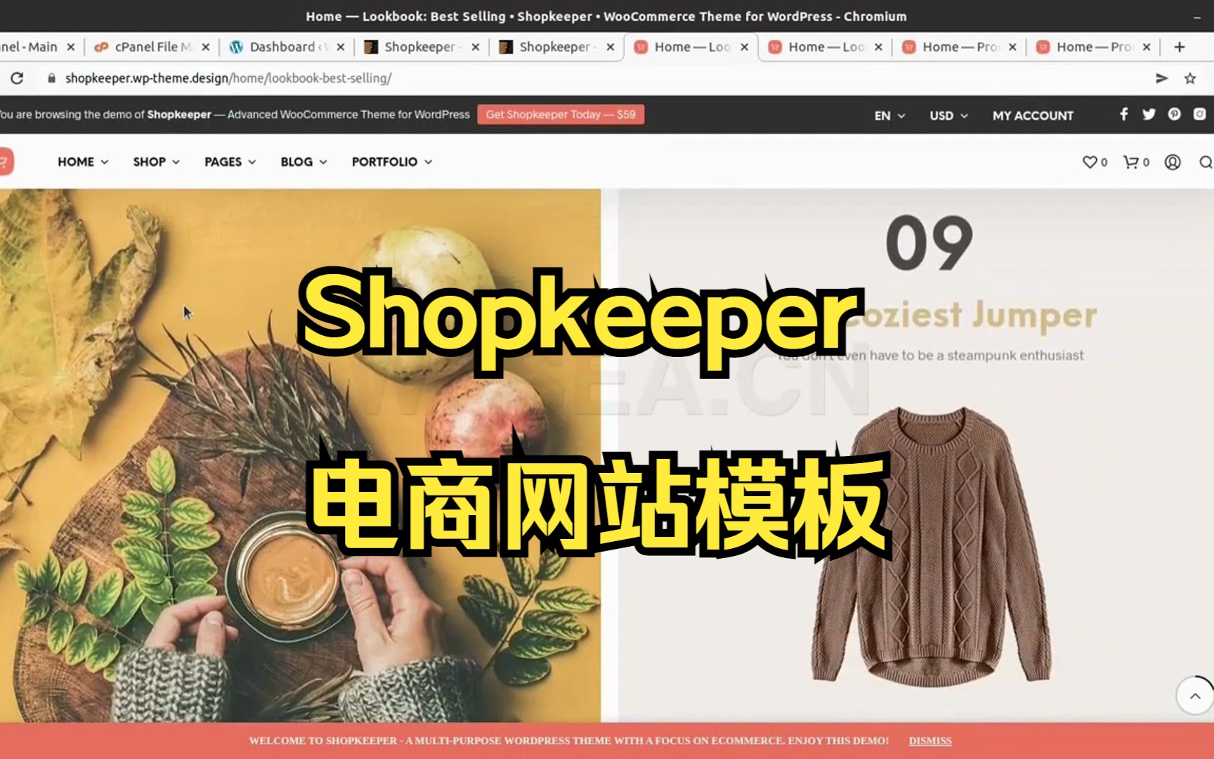 ...适用于任何企业的多用途 WooCommerce / WordPress 电商网站模板
