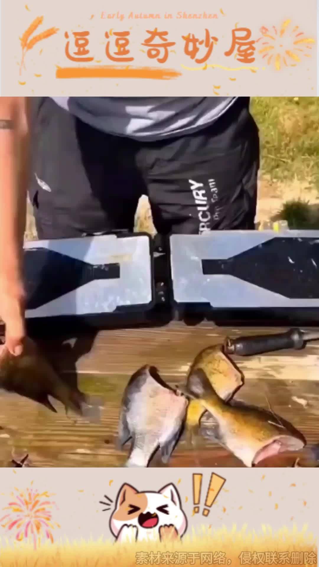 切一刀变三片,大哥这切片工具有点意思!