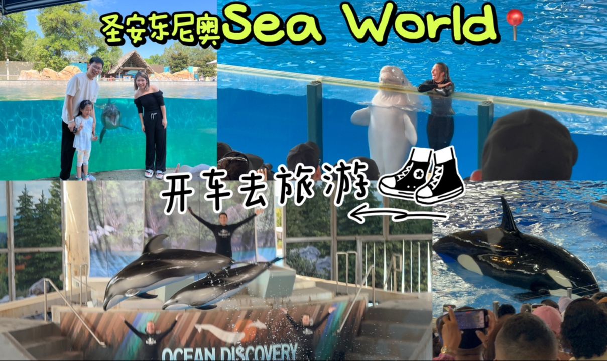 美国生活|旅游圣安东尼奥(上)road trip/海洋馆一日游/海豚互动/各种表演