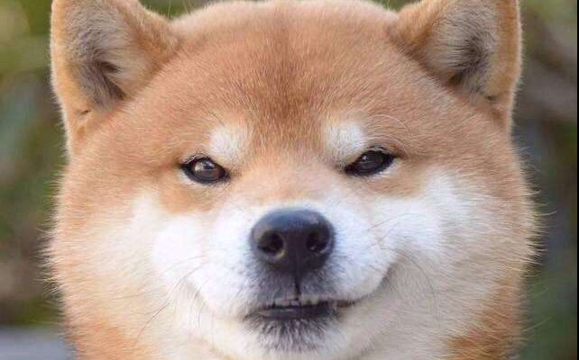 全套安装手算教学(11层小高层)