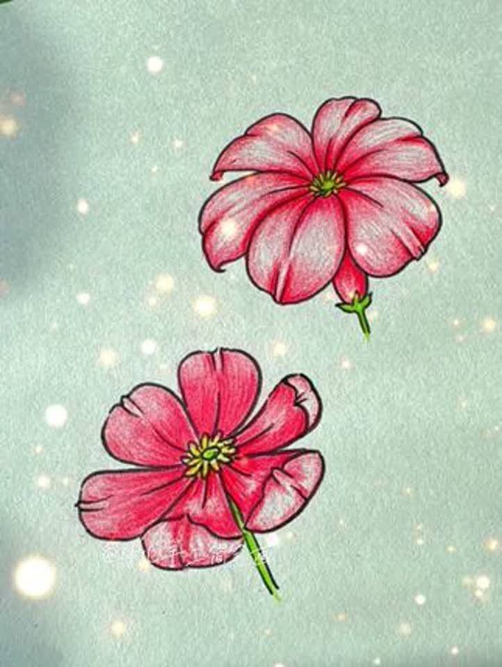 今天教你画凹陷型的花朵 #简笔画 #彩铅手绘 #儿童画教程 #简易花草...