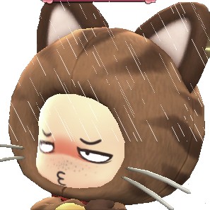 大猫永不为奴 