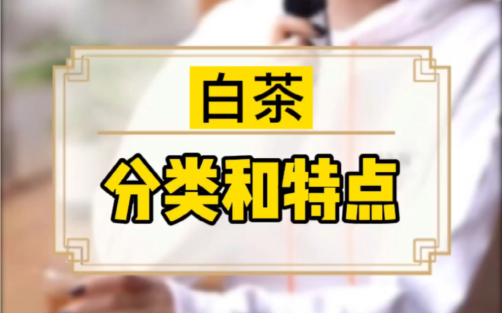 白茶的分类与特点