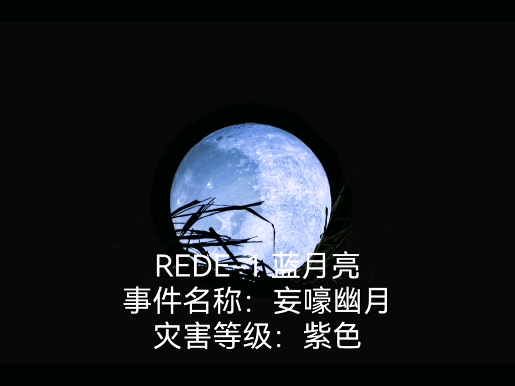 REDE实体大全(包括已删除的)
