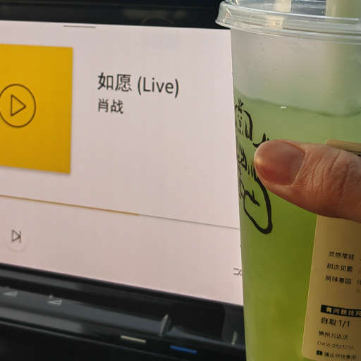 开心鱼鱼向前冲 