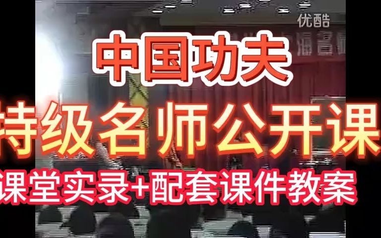 大班语言活动《中国功夫》