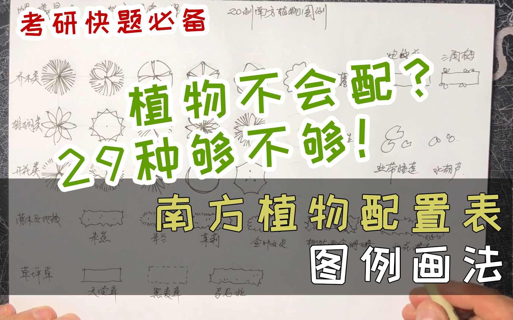 【景观手绘】教你29种景观快题南方植物配置表平面图的画法