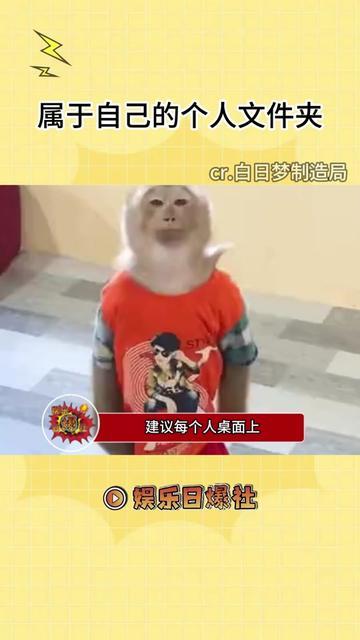 都建一个属于自己的个人文件夹吧#属于自己的文件夹