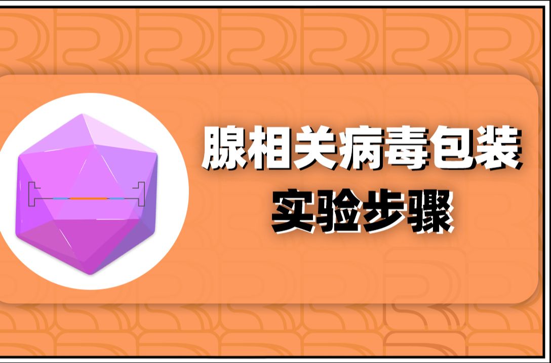 科研病毒合集(6):腺相关病毒 第一节 腺相关病毒包装