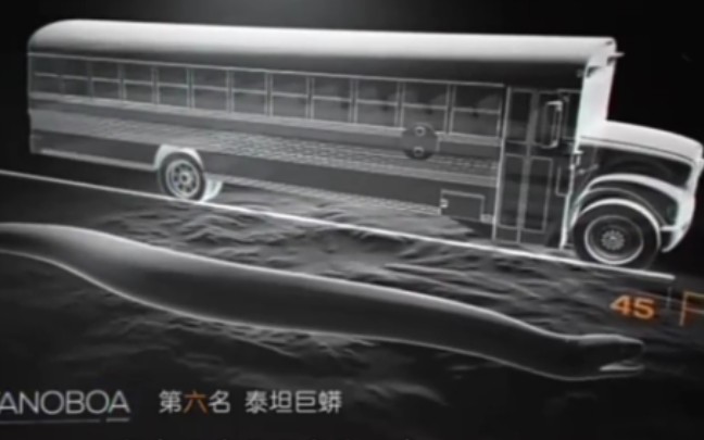 十大巨兽排行榜:泰坦巨蟒。身长15米。体重1.25吨。它的下颚怎么长...