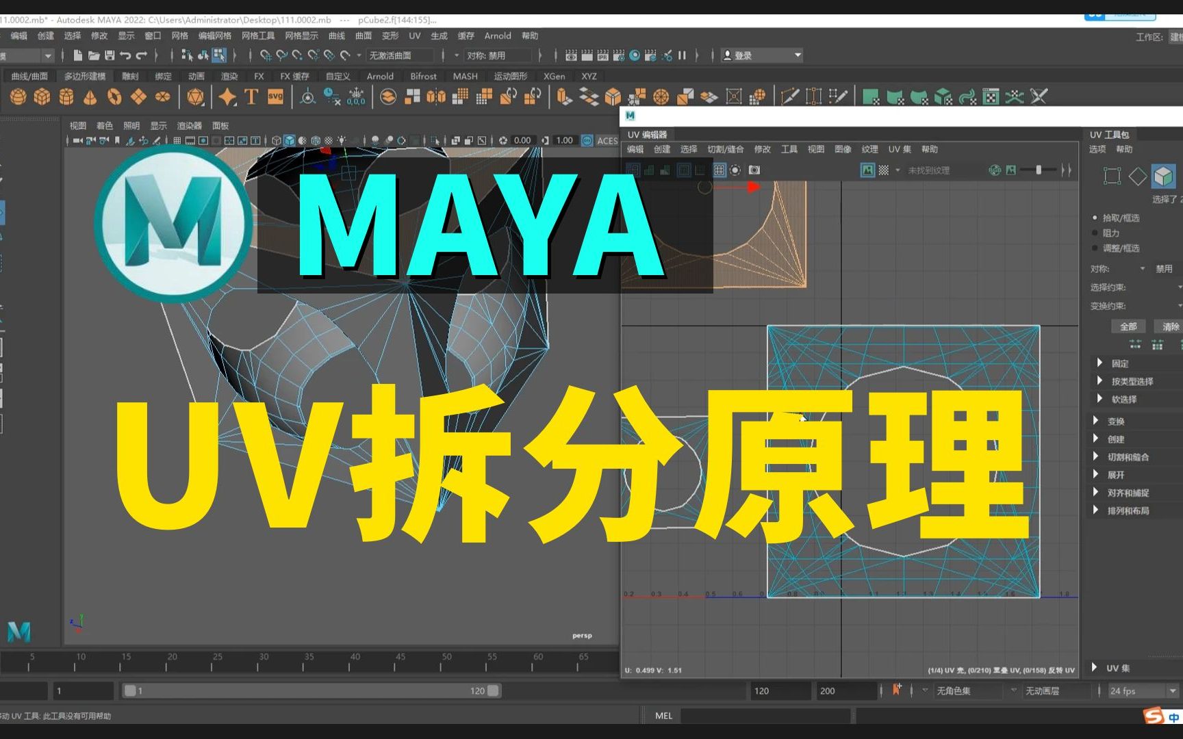 【MAYA软件基础09】Maya UV的正确分解姿势,UV拆分,展UV教程