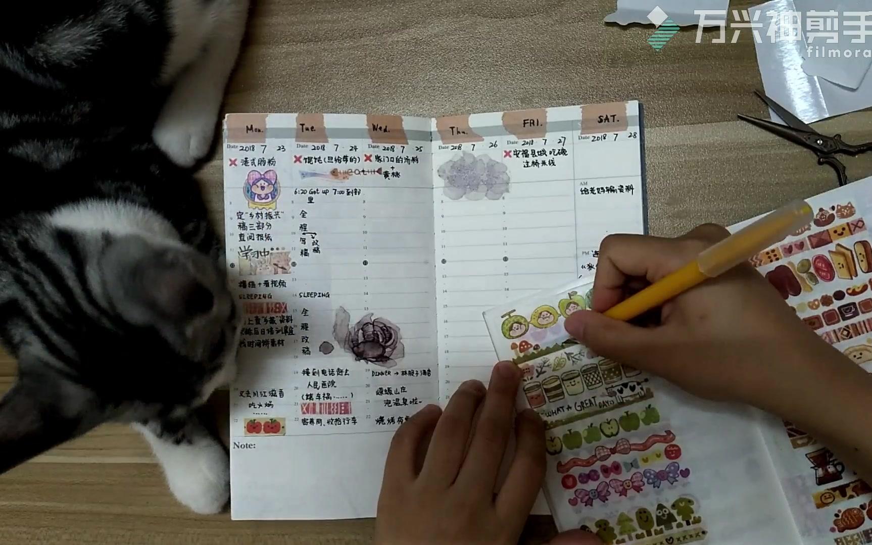 7.23~7.29时间轴和周计划