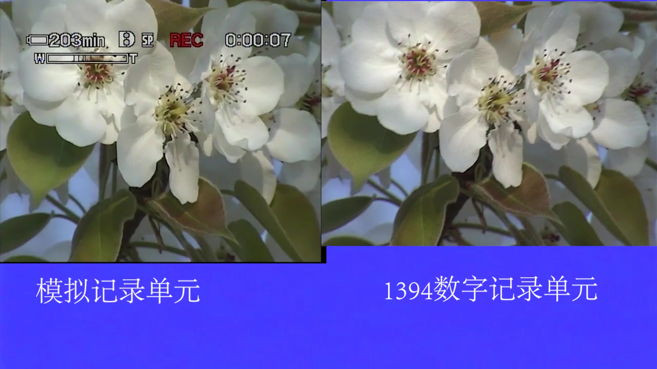 【磁带摄像机4】数字信号磁带摄像机使用记录单元对比1