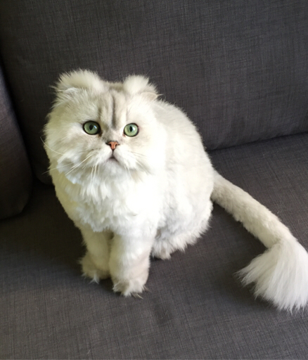 独孤独孤独孤独 