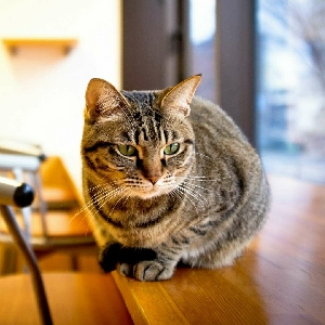 我的手残不可能治得好 