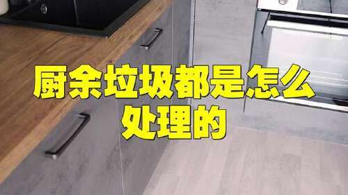 厨余垃圾变废为宝?揭秘垃圾处理厂不为人知的神奇操作!