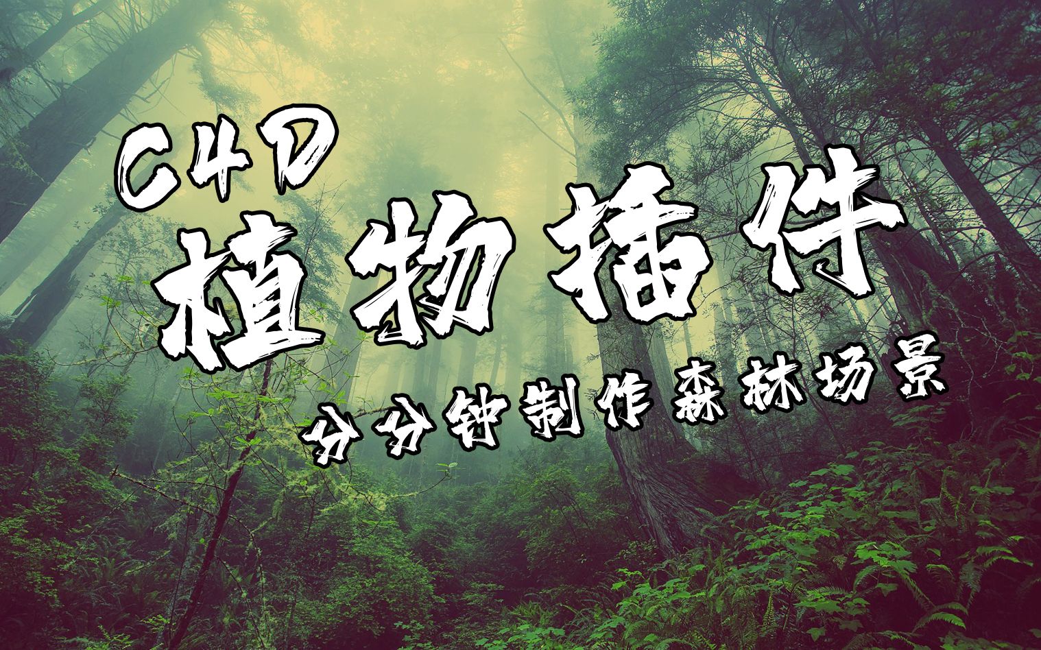 C4D植物插件分享——分分钟制作一个森林场景&森林植物岩石生长...