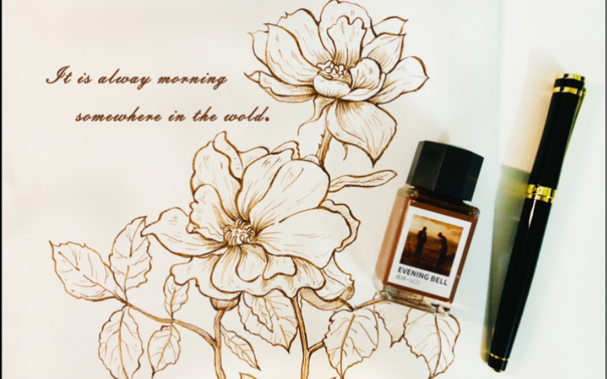 【钢笔画】我自学绘画的一些体会～花卉线条画