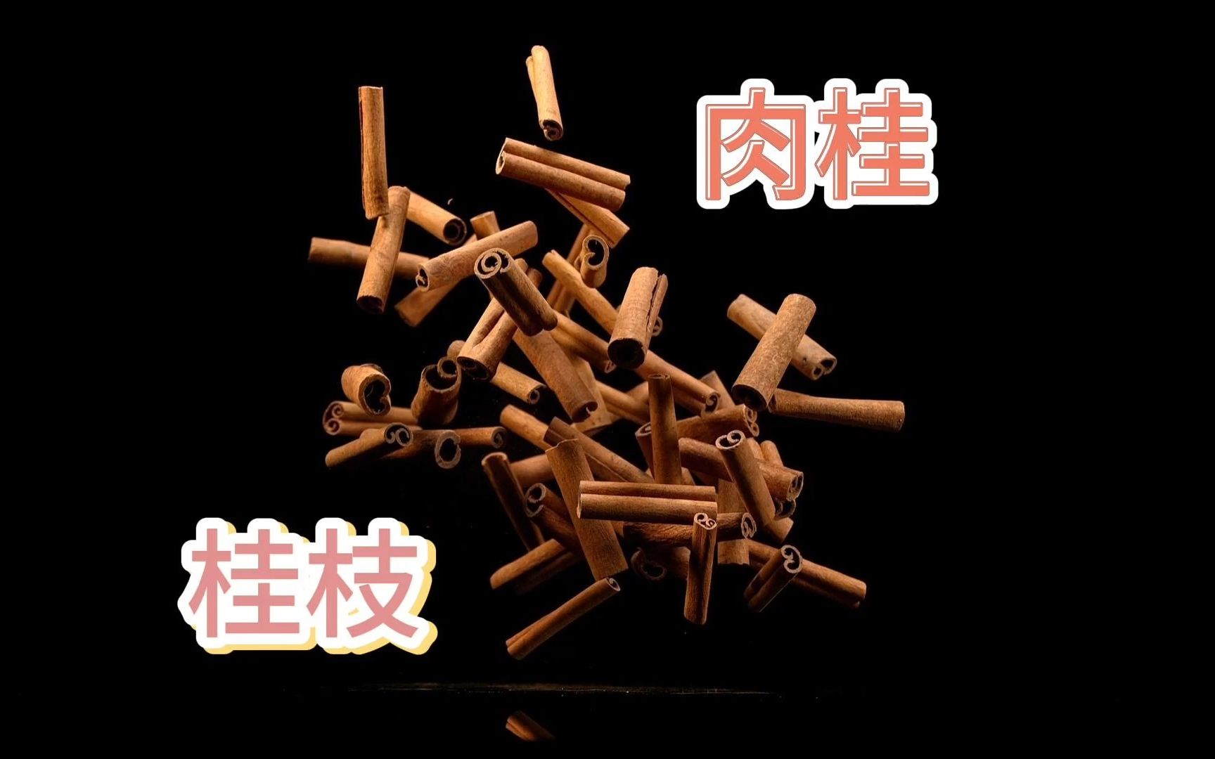 桂枝与肉桂【伤寒论中的中草药】