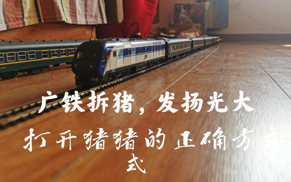 火车模型Ⅰ广铁拆猪 学习优良传统 这才是猪的正确方式嘛 百万城df11g