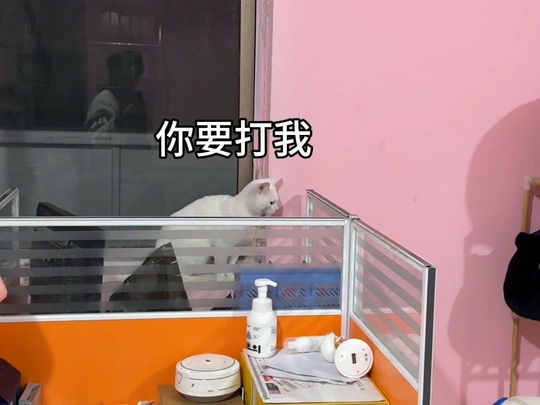 拳头擦碘伏 边打边消毒