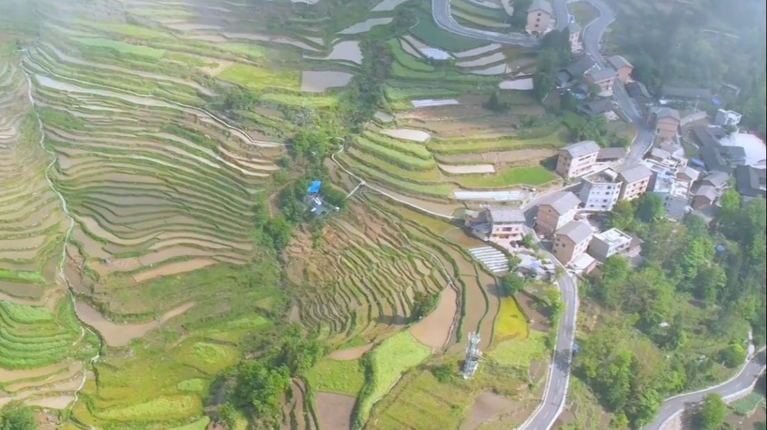 专题短片《稼穑蓬勃》|毕设|“从卖花木到卖风景,从卖产品到卖文化”...