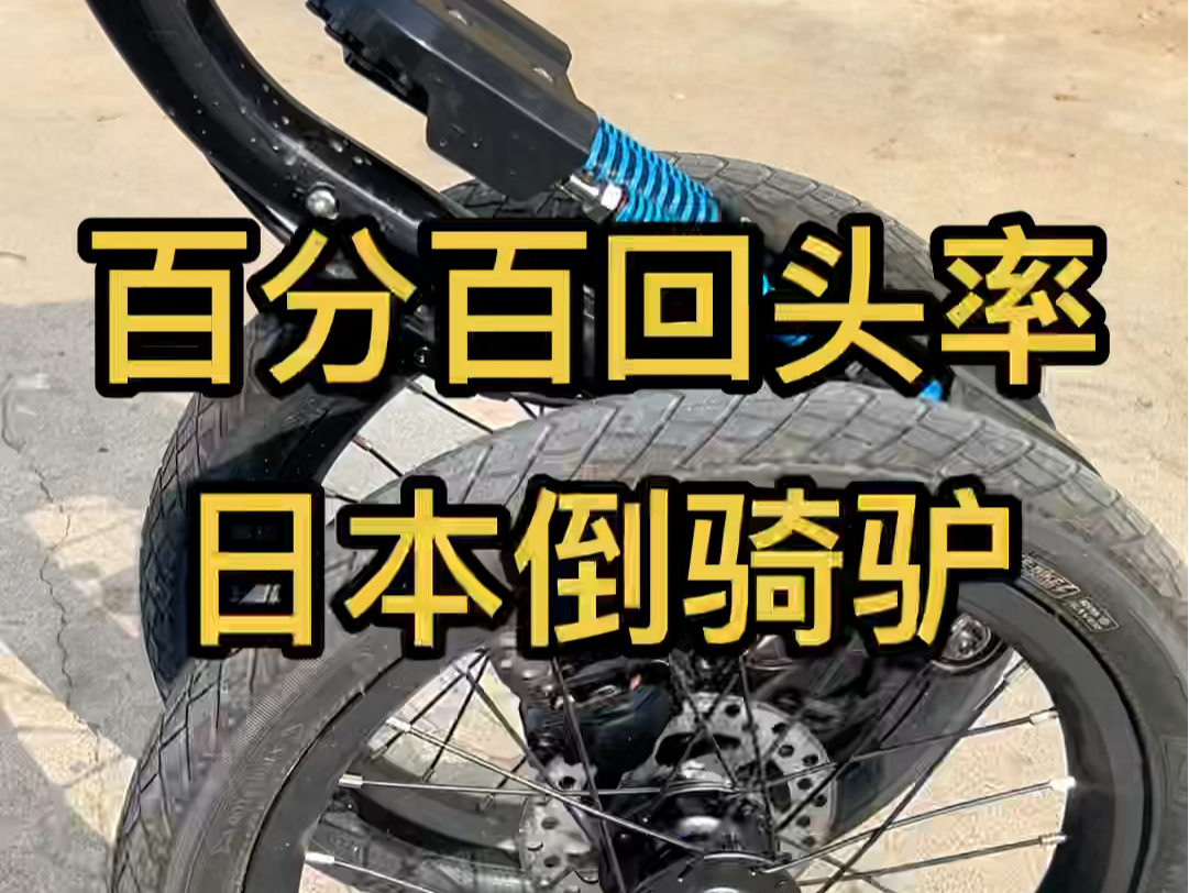 日本派克倒三轮电助力折叠自行车