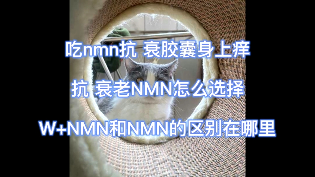 吃nmn抗衰胶囊身上痒,抗衰老NMN怎么选择,W+NMN和NMN的区别在...