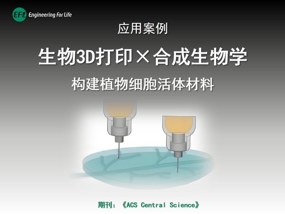 应用案例:生物3D打印×合成生物学-构建植物细胞活体材料