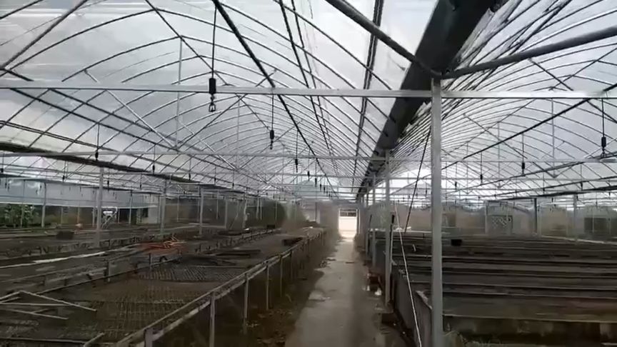 温室种植吊挂式喷头雾化效果