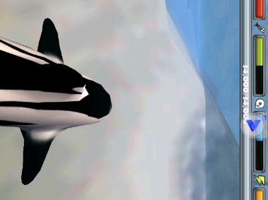 海豚模拟器和蝎子模拟器