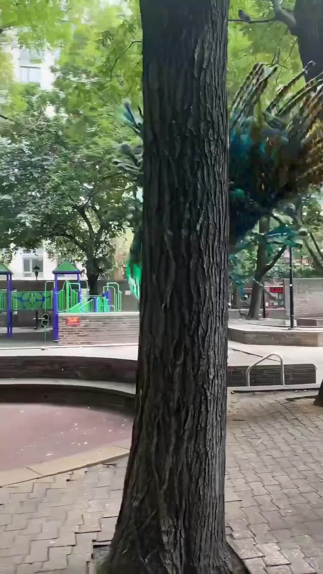 外星植物!3D、CG、C4D特效大揭秘