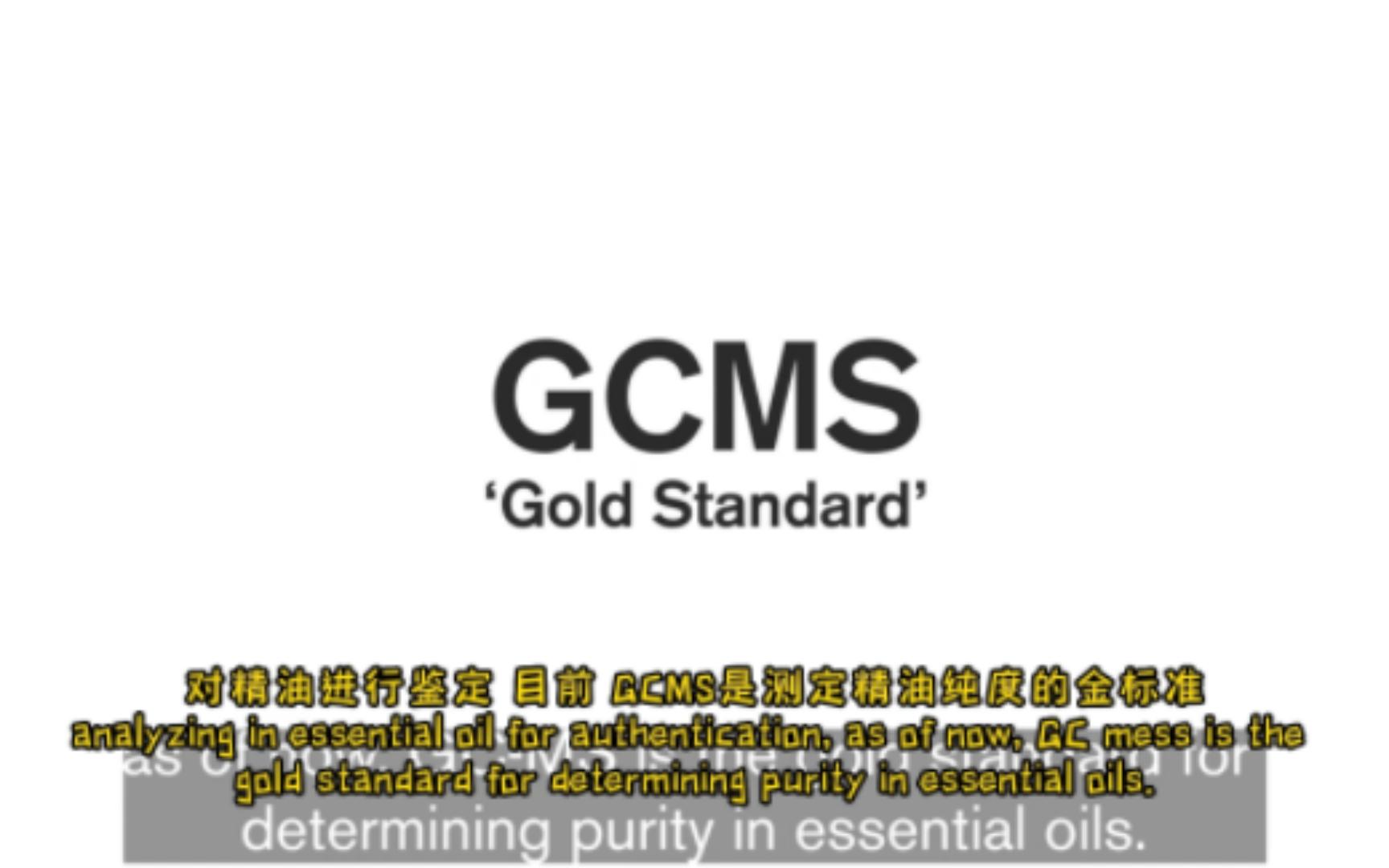 GC-MS介绍(中文字幕)