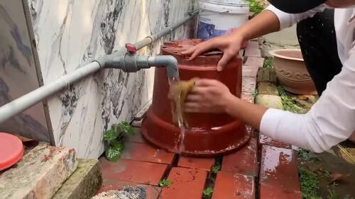 用旧塑料模具制作美丽的水泥花盆,这可是一本万利的好生意呀