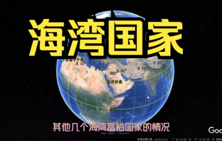 部分较为富裕的石油出口国家