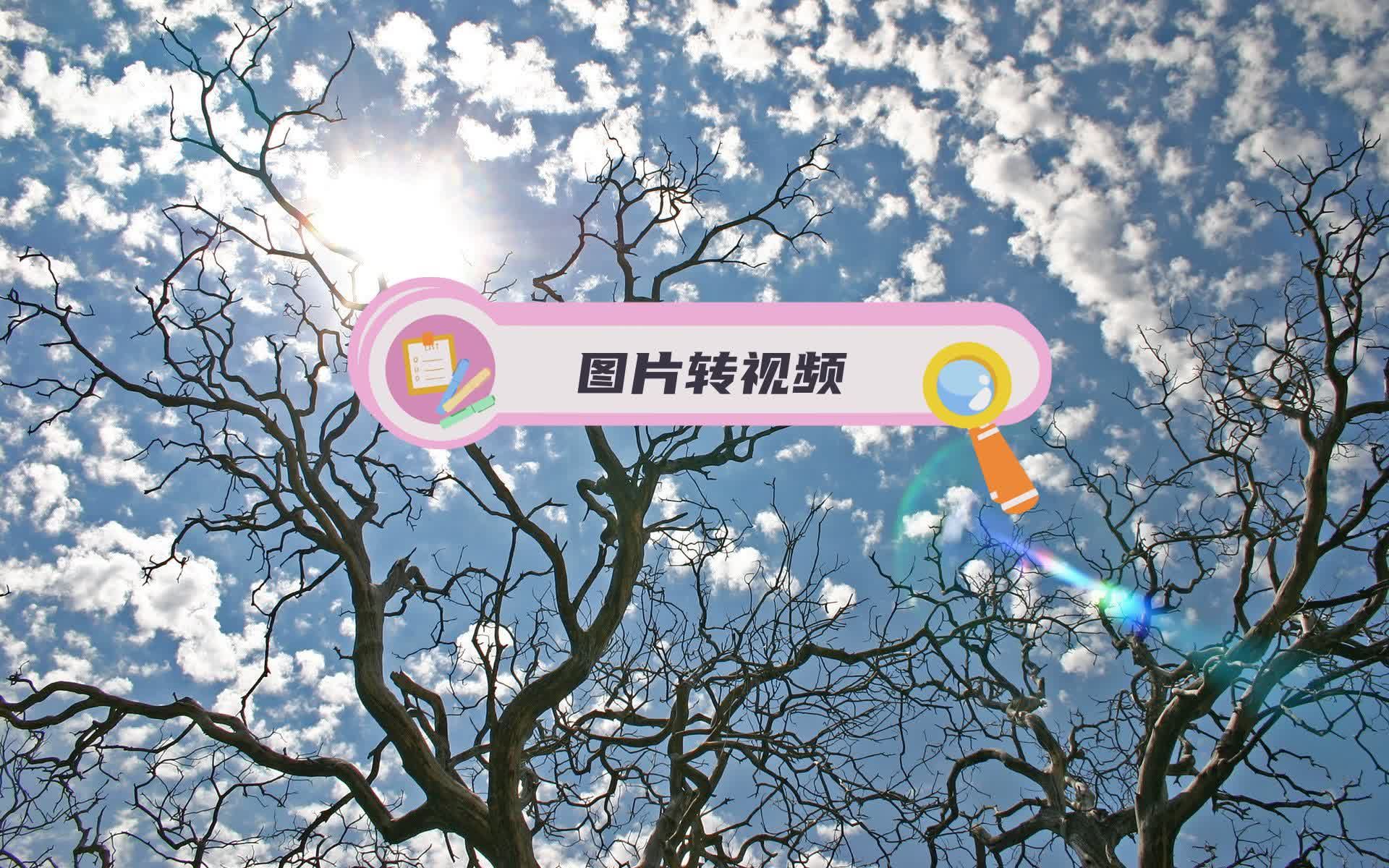 照片转视频软件,让照片连续播放的软件