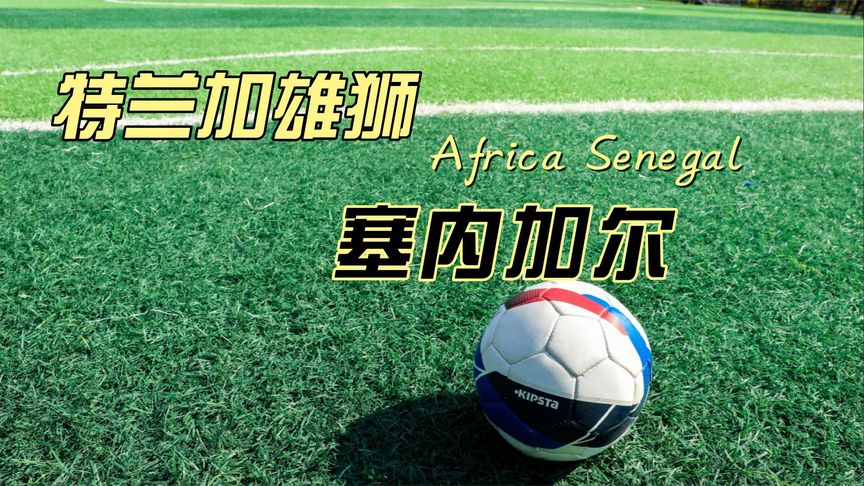 2022年卡塔尔世界杯:"特兰加雄狮"塞内加尔!阵容?赛程?排名?