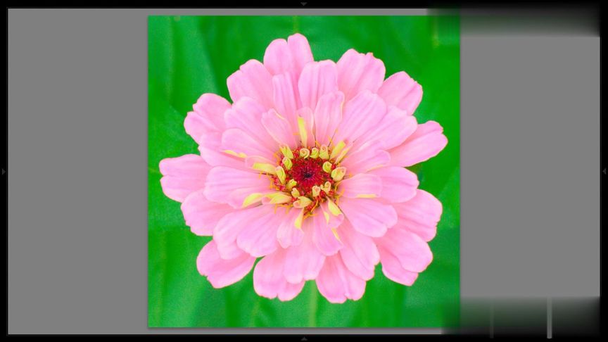 Lr零基础教程:第34讲,新的全屏预览模式