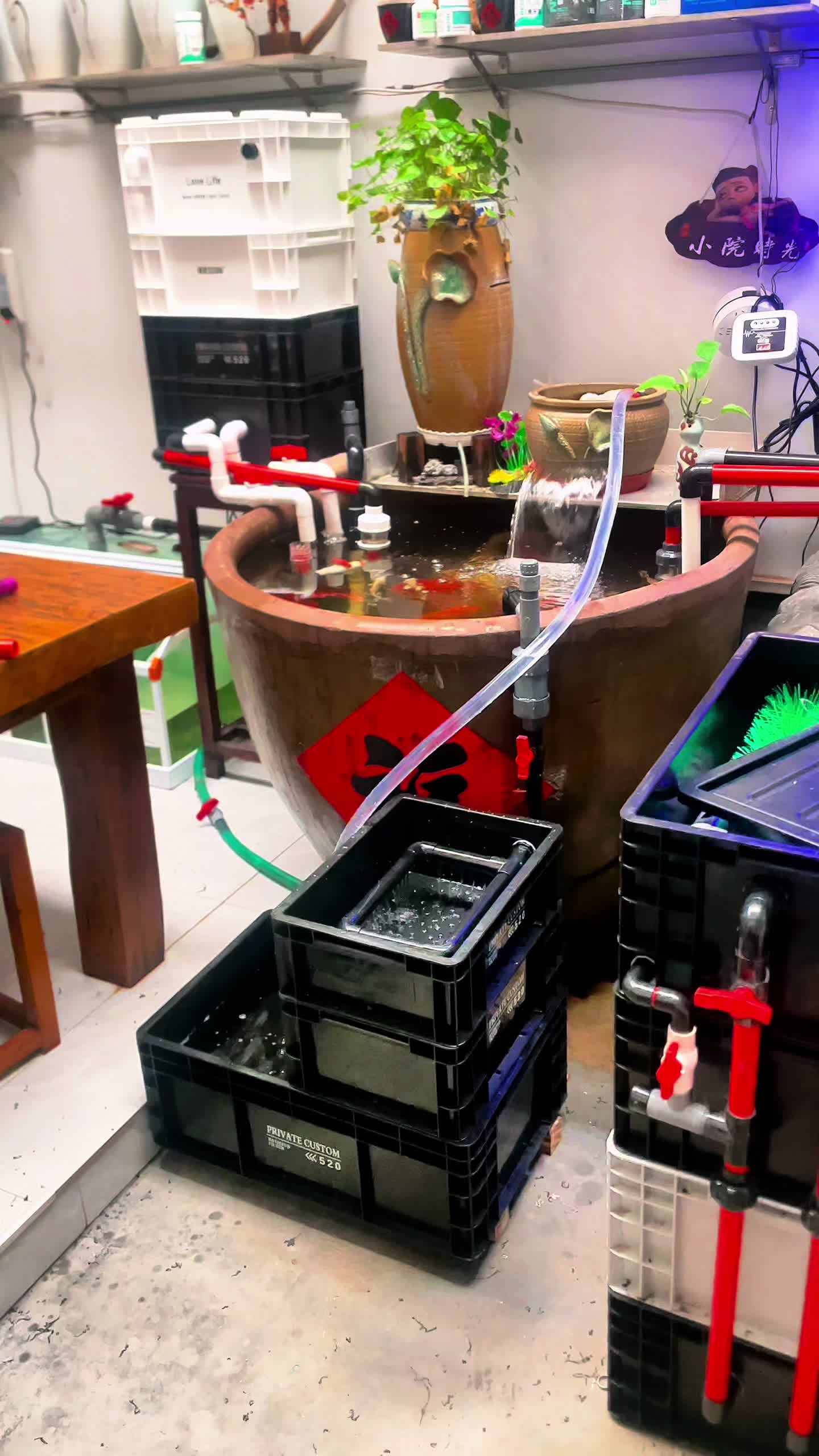 底部周转箱配个瀑布流水使用过程#鱼缸过滤