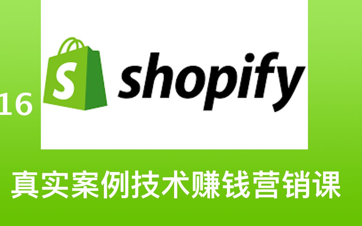 Shopify 真实案例技术赚钱营销课视频教程 16 真实项目建站实例演练 ...